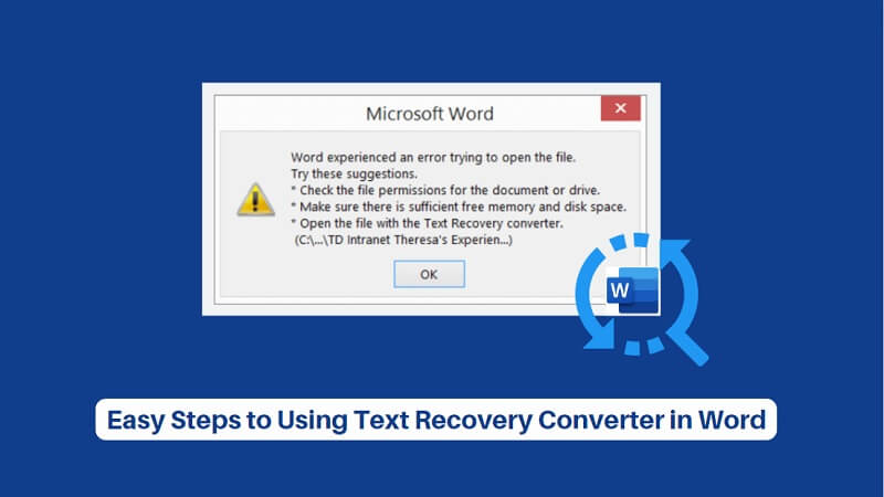 Text Recovery Converter: Hur återställer man text från skadad Word-fil ...