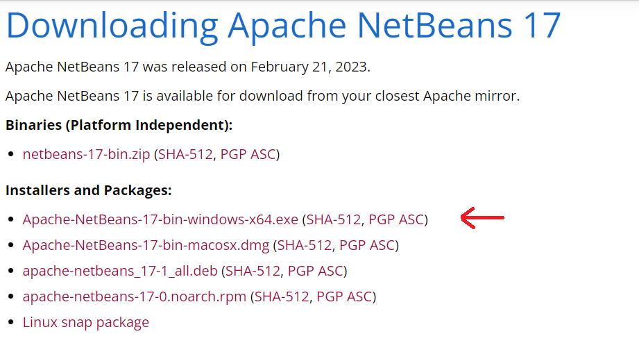 So installieren Sie NetBeans für Java -Programmierung unter Windows 11 - Globaler Geek