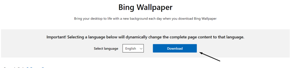 So beheben Sie, dass die Bing-Hintergrund-App unter Windows 11 nicht ...
